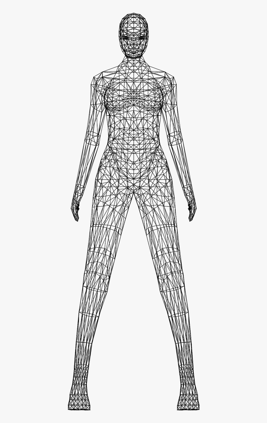 Woman Wireframe Low Poly Free Photo - Body Wireframe Png, Transparent ...