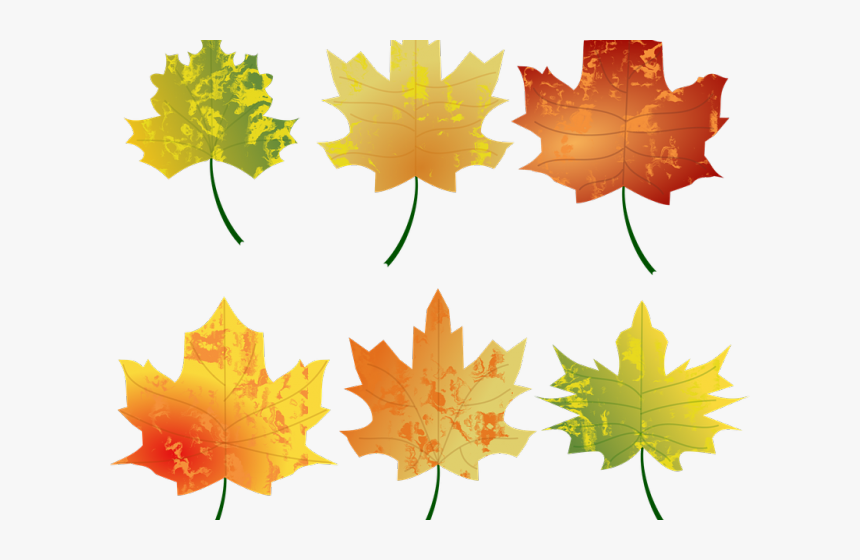 Fall Leaves Graphic - Fall Leaf Png Vector, Transparent Png ...