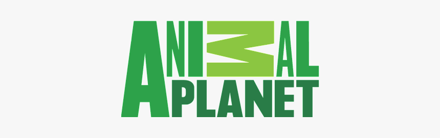 Animal Planet Network Logo, HD Png Download , Transparent Png Image ...