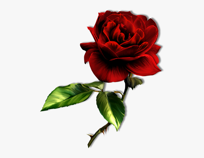 Deep Red Rose Png, Transparent Png , Transparent Png Image - PNGitem