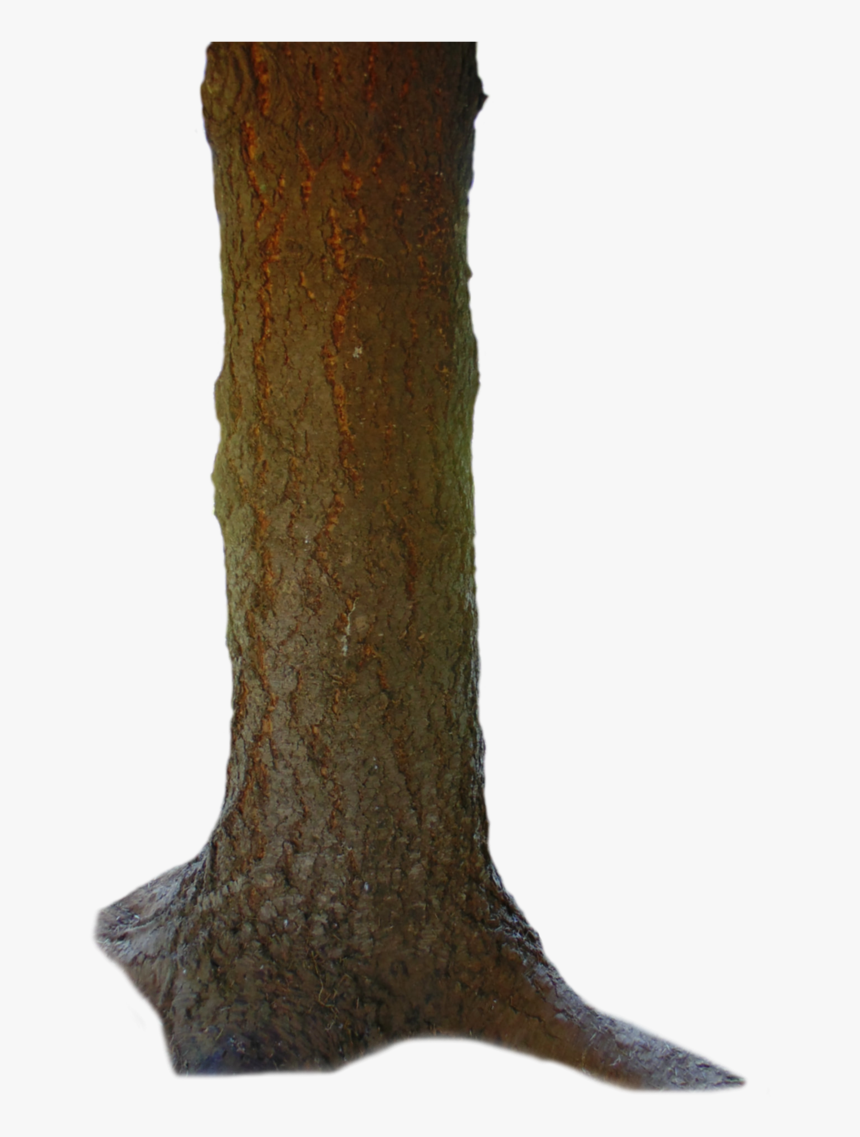 Tronco Png 4 » Png Image - Tree Body Png, Transparent Png , Transparent ...