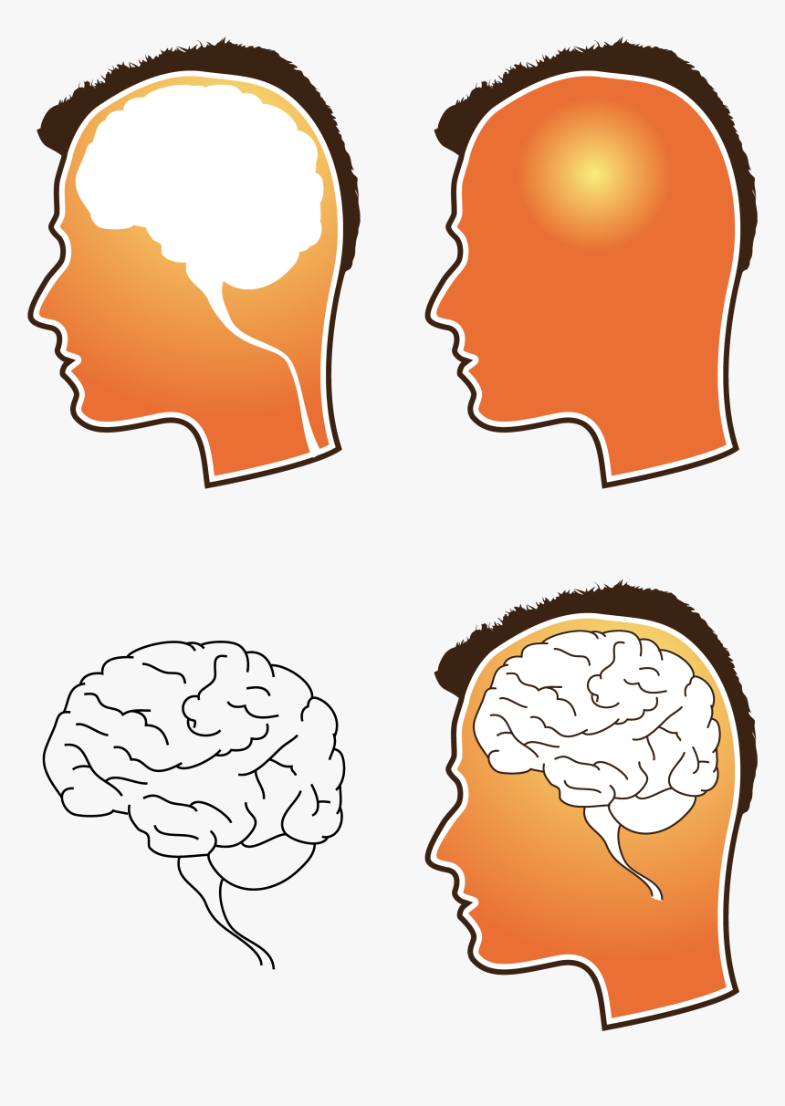 Free Vector Human Brain Vector - Free Vector Brain, HD Png Download ...
