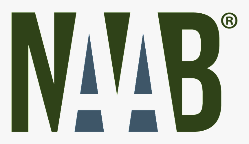 Naab Logo, HD Png Download , Transparent Png Image - PNGitem