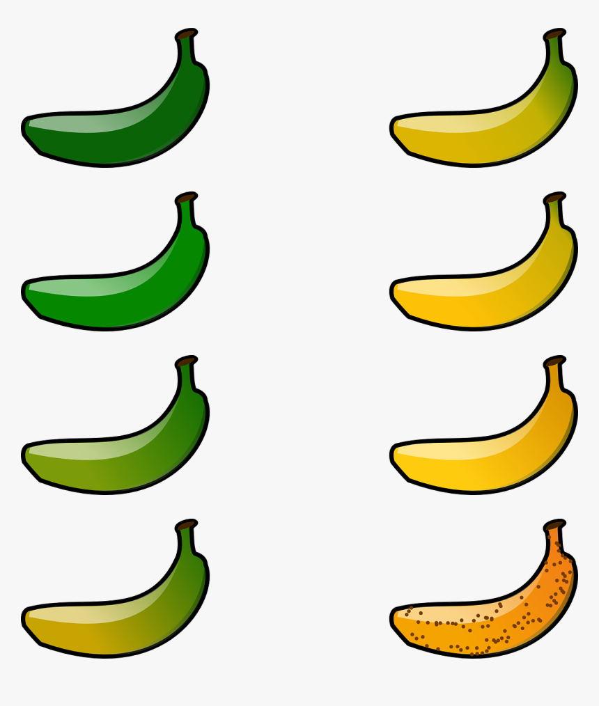8 Bananas Clipart, HD Png Download , Transparent Png Image - PNGitem