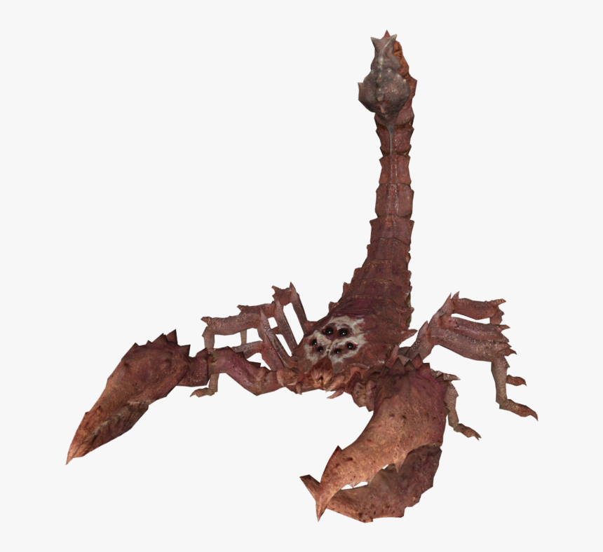 Fallout 3 Albino Scorpion, HD Png Download , Transparent Png Image ...