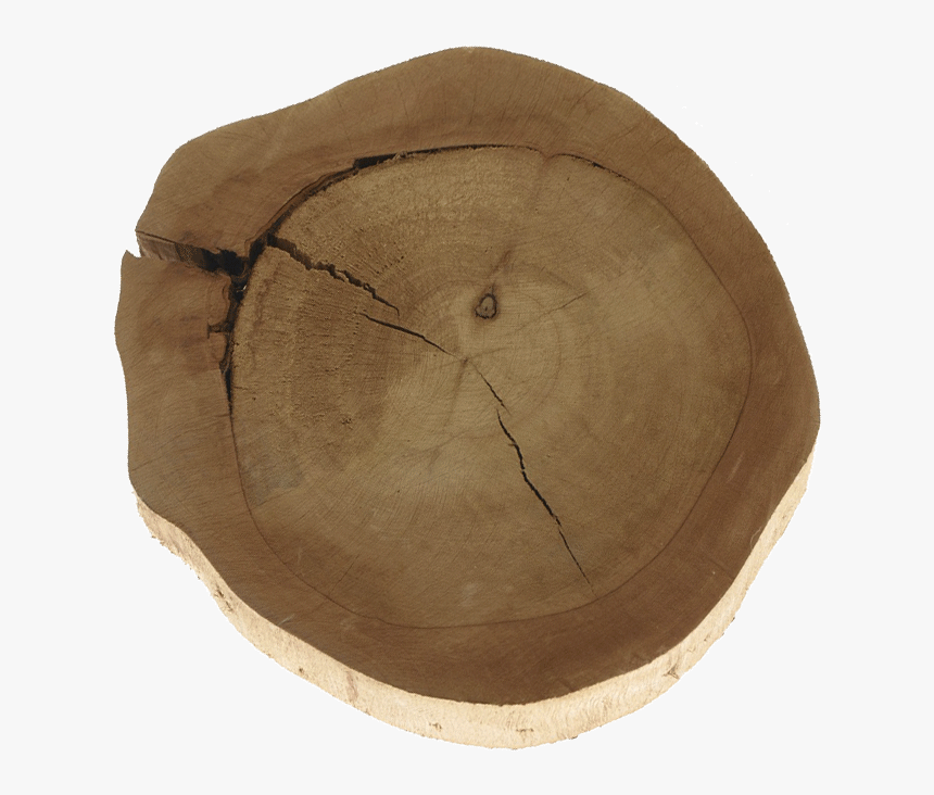 Wood Slice Png Clipart Freeuse Stock - Lumber, Transparent Png ...