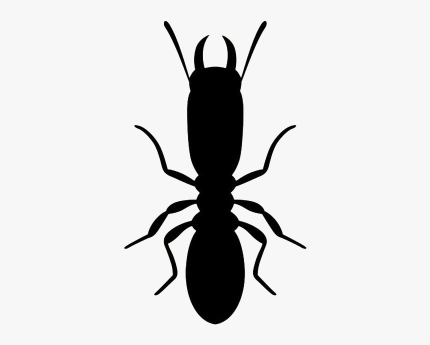 Termite Silhouette, HD Png Download , Transparent Png Image - PNGitem