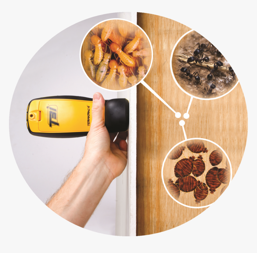 Why Have A Termite Inspection, HD Png Download , Transparent Png Image ...