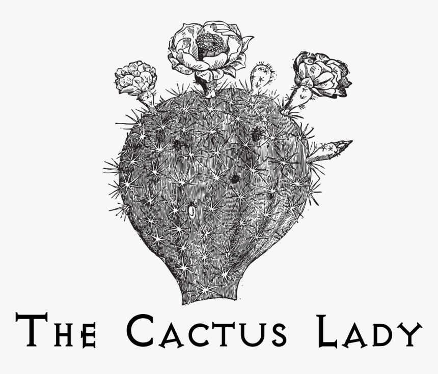 Cactus Drawing Png, Transparent Png , Transparent Png Image - PNGitem