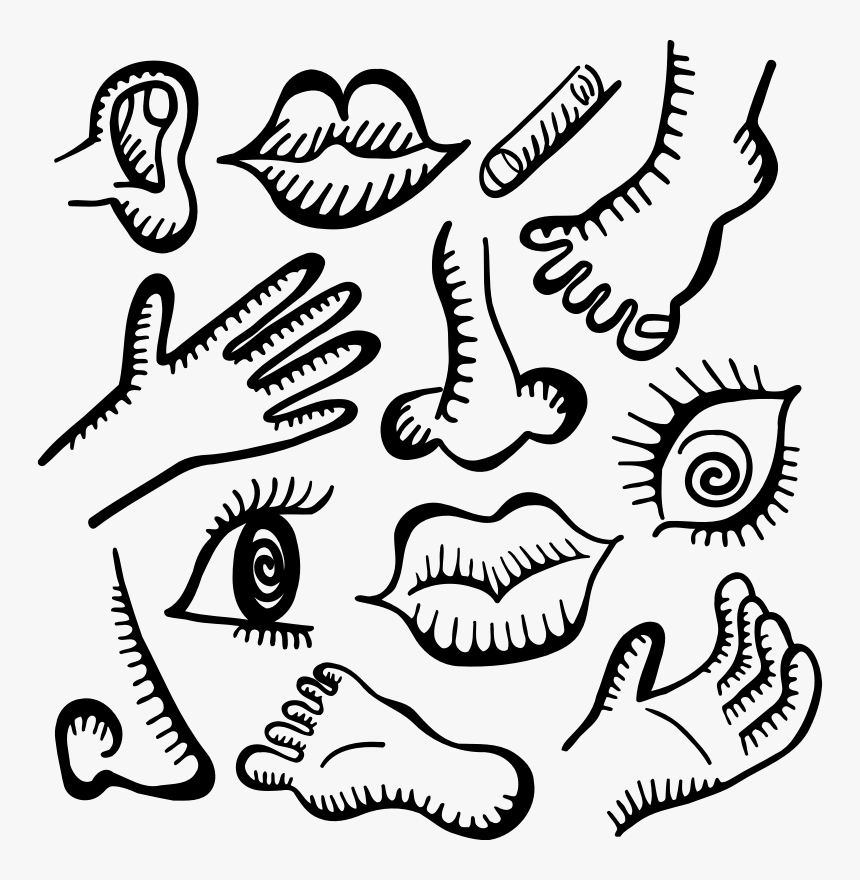 Anatomy Doodles - Doodle Anatomy, HD Png Download , Transparent Png ...