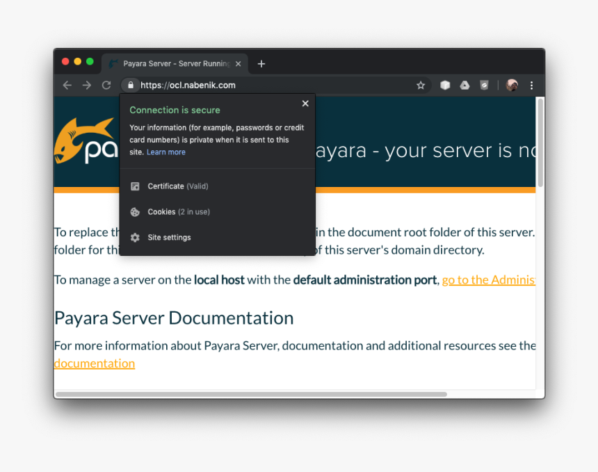 Payara Ssl - Payara, HD Png Download , Transparent Png Image - PNGitem