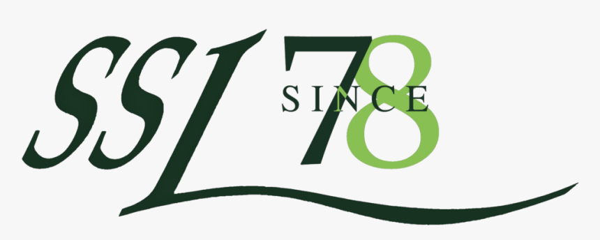 Ssl Png, Transparent Png , Transparent Png Image - PNGitem