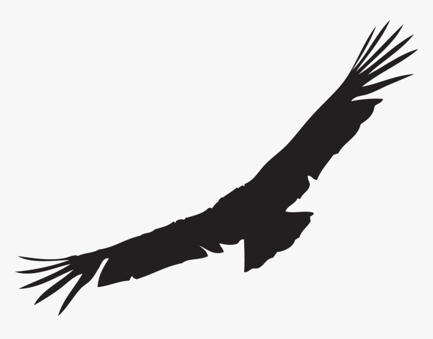 We Love The California Condor - Condor Png, Transparent Png ...
