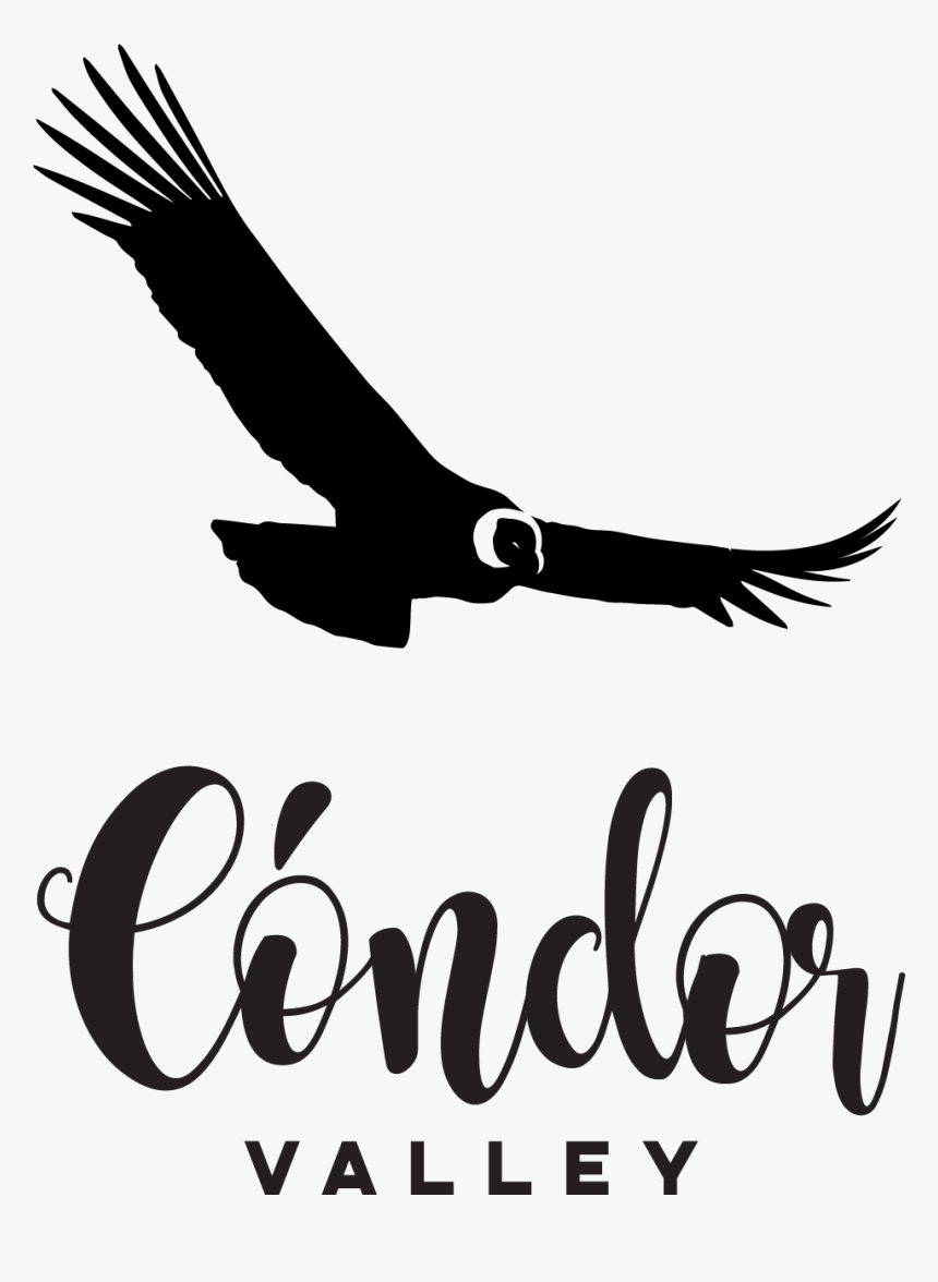 Condor Png , Png Download - Condor Png, Transparent Png , Transparent ...