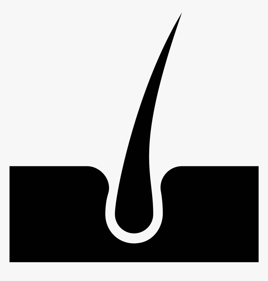 Hair Follicle Vector Png , Png Download, Transparent Png , Transparent ...