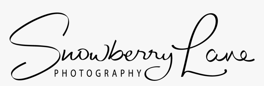 Snowberry Lane Photography Logo - Calligraphy, HD Png Download ...