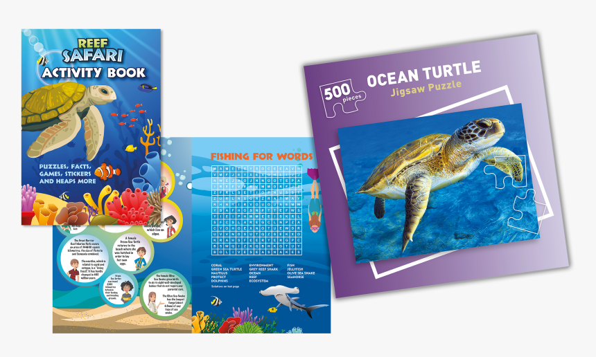 Loggerhead Sea Turtle, HD Png Download , Transparent Png Image - PNGitem