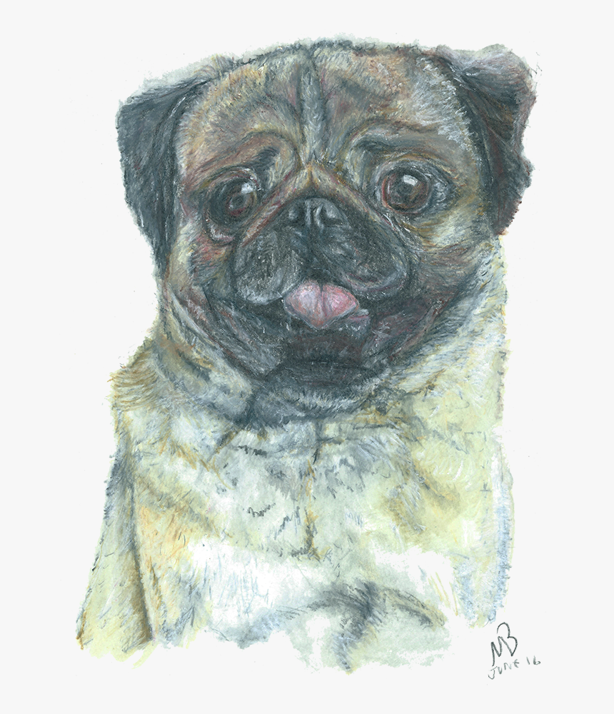 Pug Dog Pencil Dogs - Pug Png Artworks, Transparent Png , Transparent ...