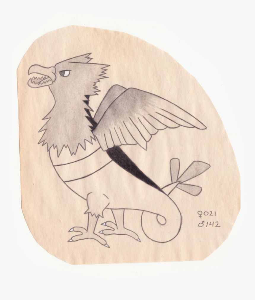 Tiny Bird Pokemon - Parrot, HD Png Download , Transparent Png Image ...