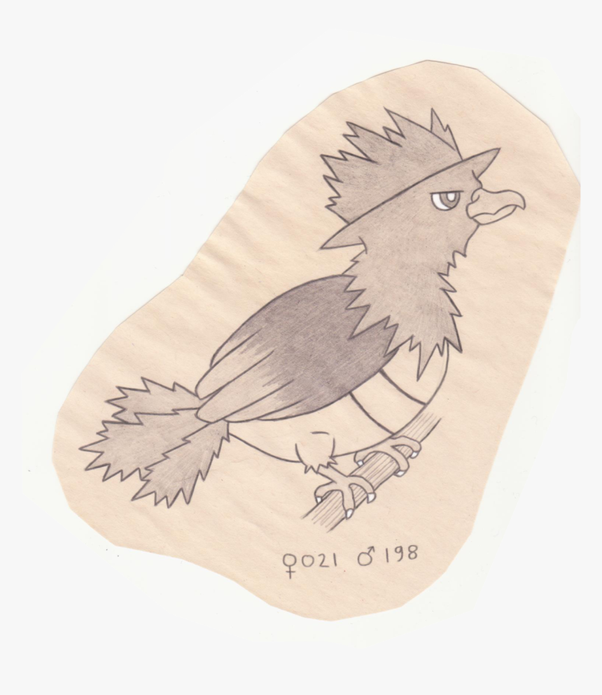 Tiny Bird Pokemon, HD Png Download , Transparent Png Image - PNGitem