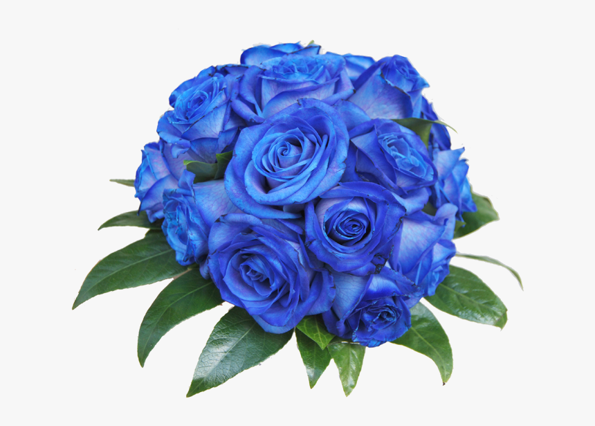 Blue Rose, HD Png Download , Transparent Png Image - PNGitem
