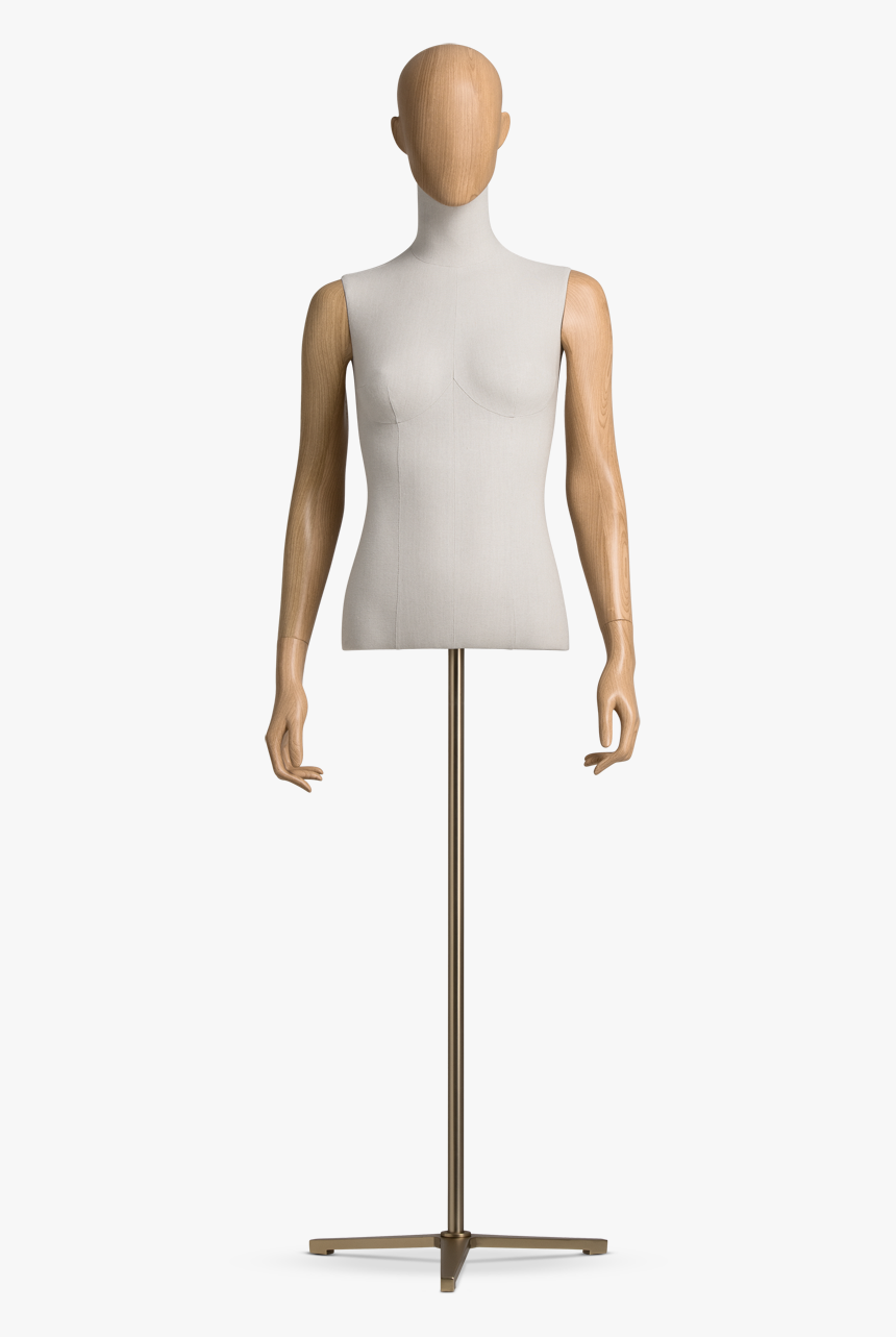 Torso Png, Transparent Png , Transparent Png Image - PNGitem