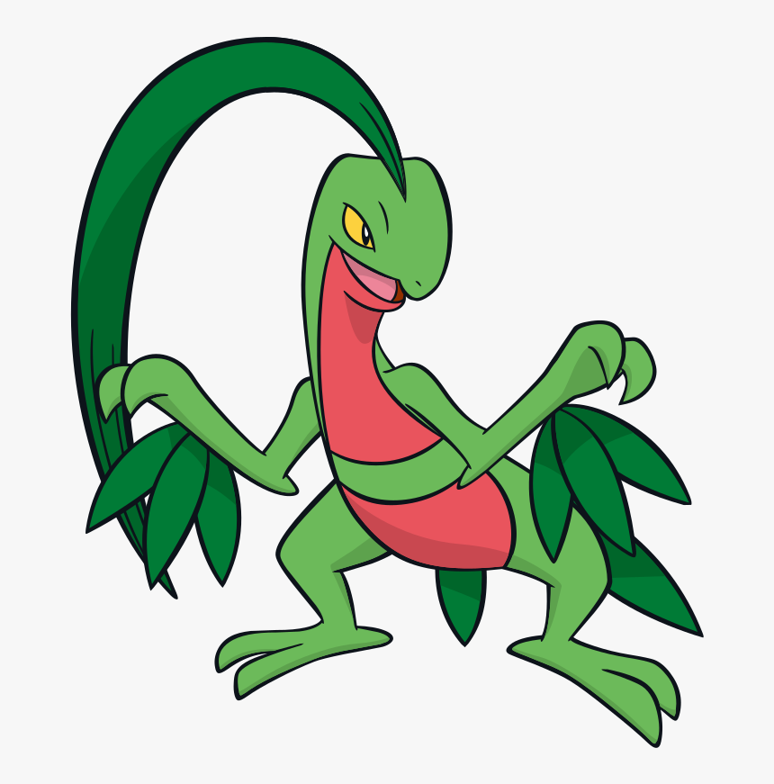 Pokemon Grovyle, HD Png Download , Transparent Png Image - PNGitem