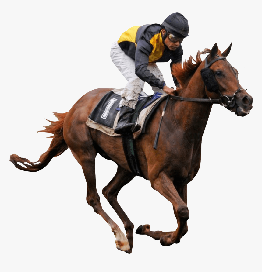 Horse Racing Png, Transparent Png , Transparent Png Image - PNGitem