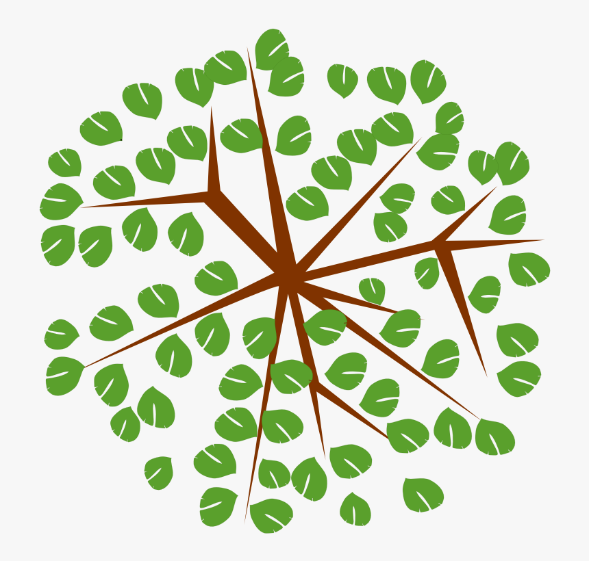 Tree Top View Icon Png , Transparent Cartoons - Clipart Of Tree Top ...