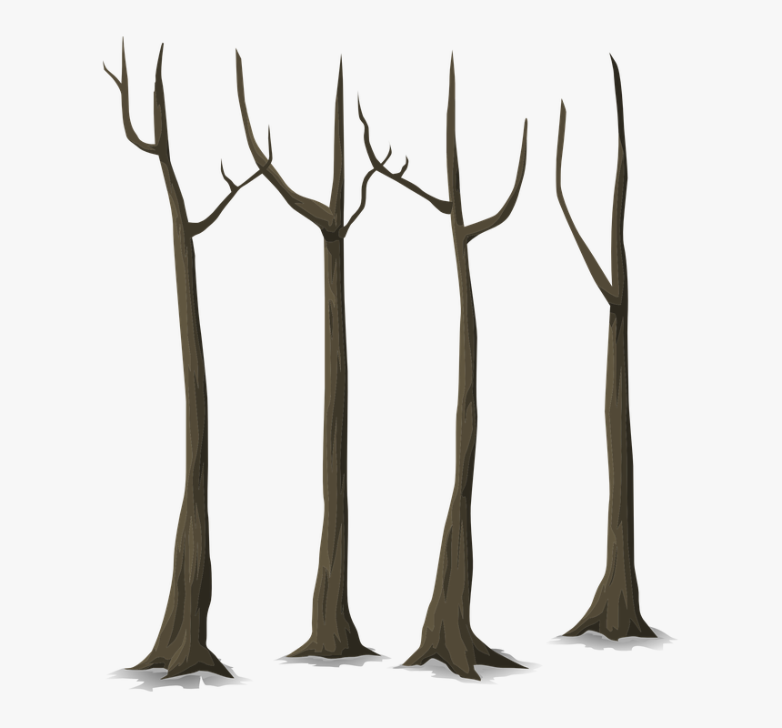 Transparent Dark Forest Png - Tree Trunk Vector Png, Png Download ...