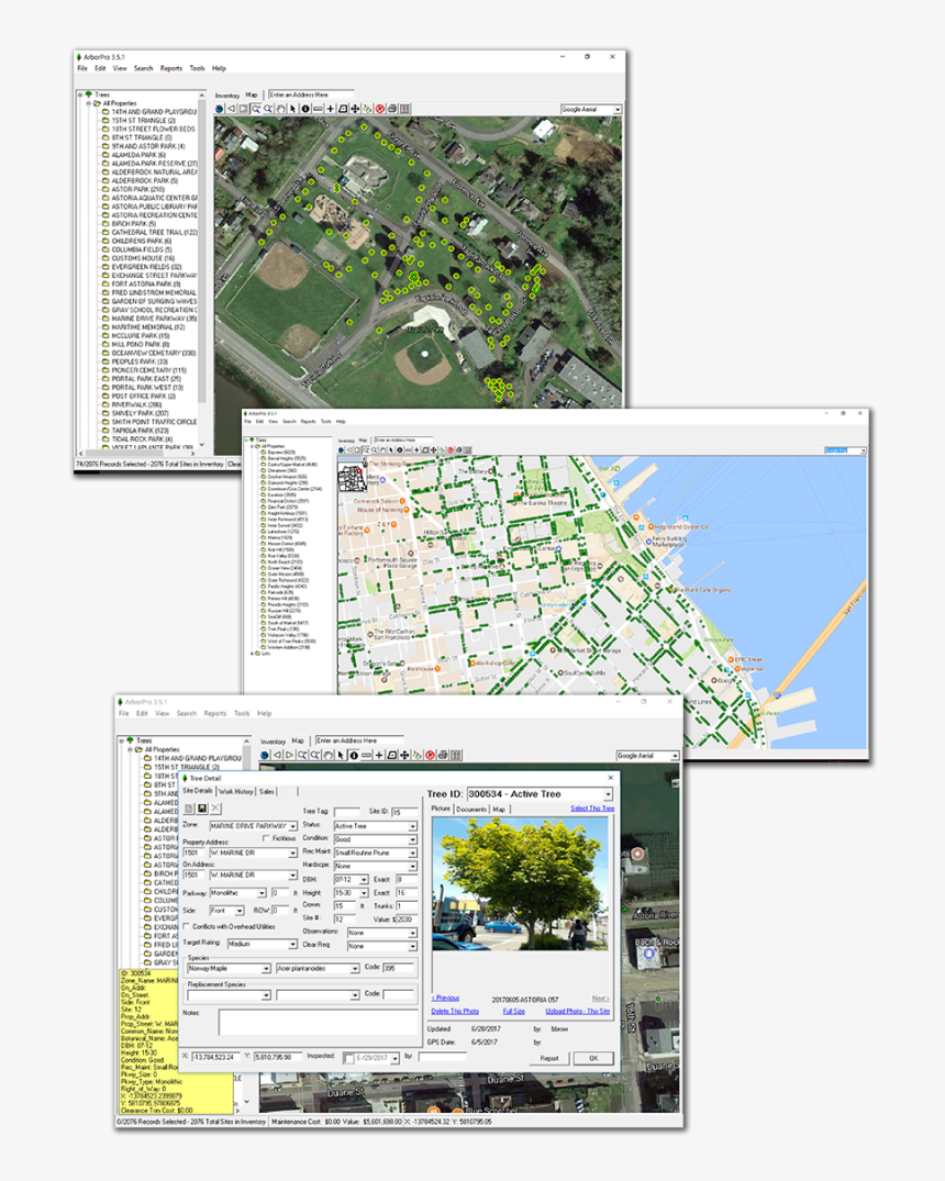 Tree Management Software - Plan, HD Png Download , Transparent Png ...