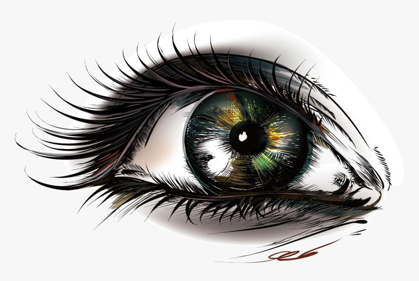 Eye Euclidean Vector - Vector Graphics, HD Png Download , Transparent ...