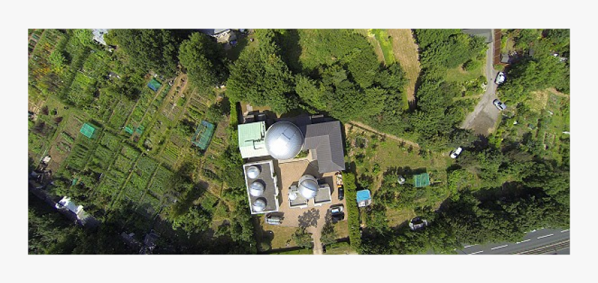 Trees Aerial View Png, Transparent Png , Transparent Png Image - PNGitem