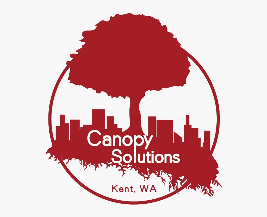 Trees Aerial View Png, Transparent Png , Transparent Png Image - PNGitem