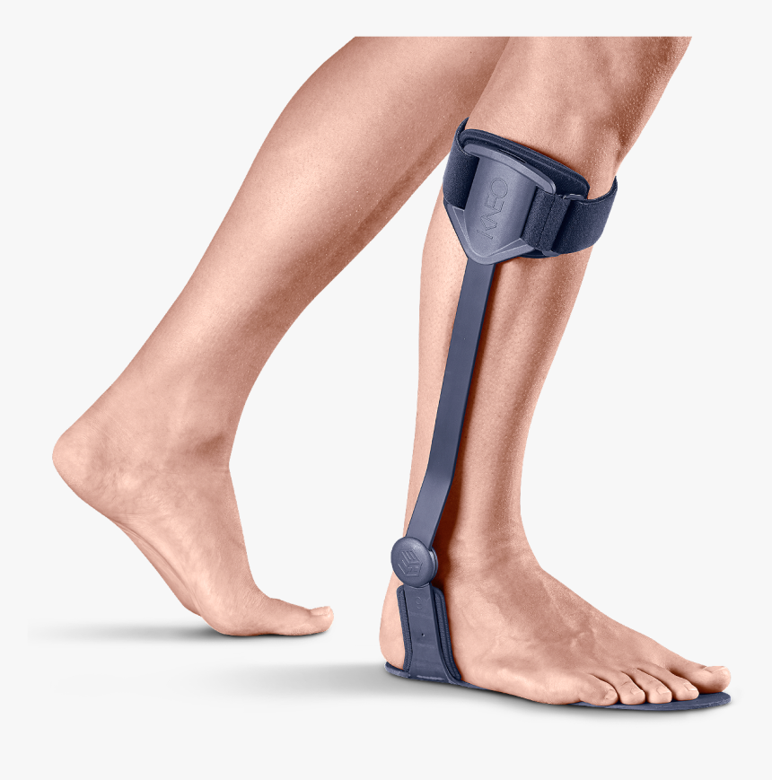 Knee, HD Png Download , Transparent Png Image - PNGitem