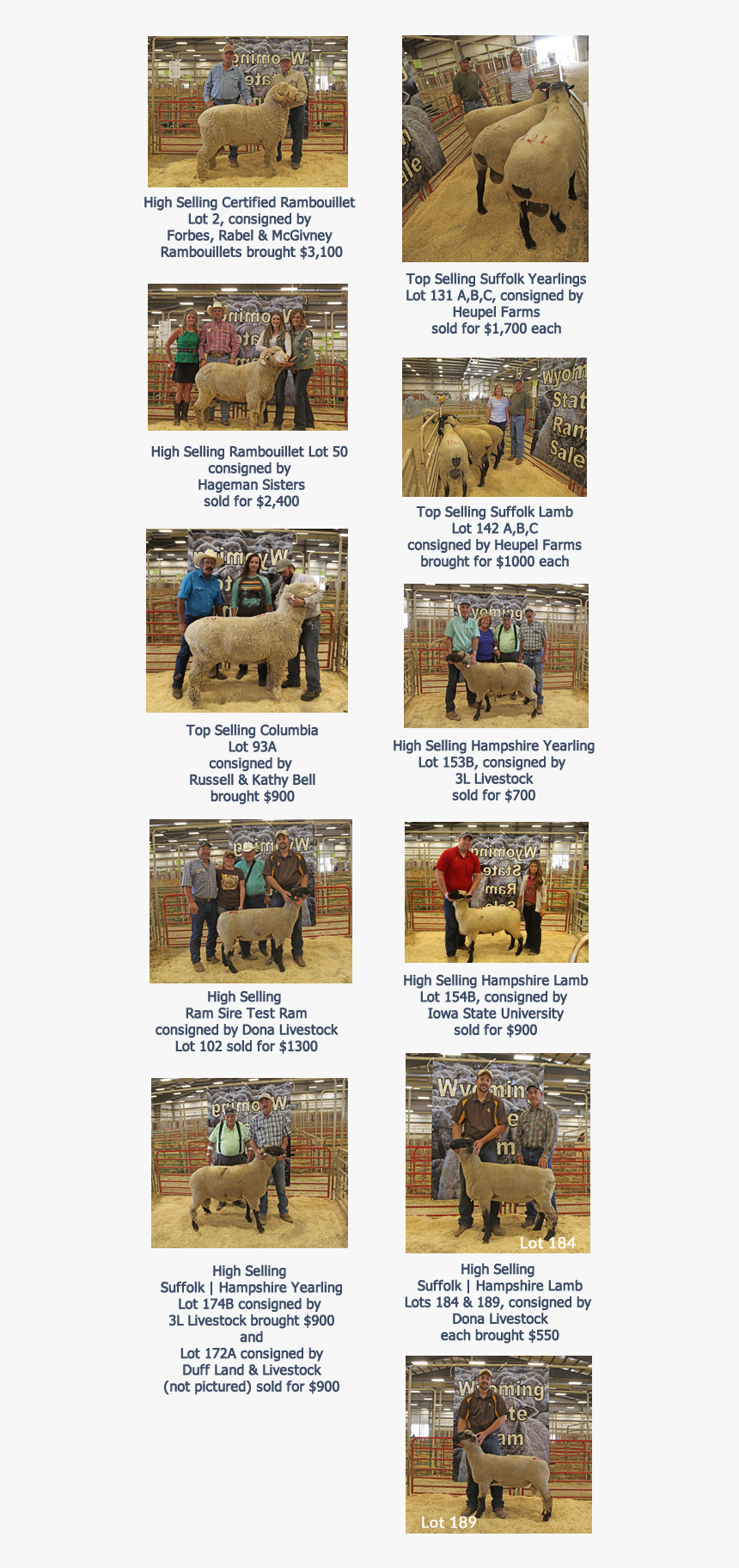 Ram Animal Png, Transparent Png , Transparent Png Image - PNGitem