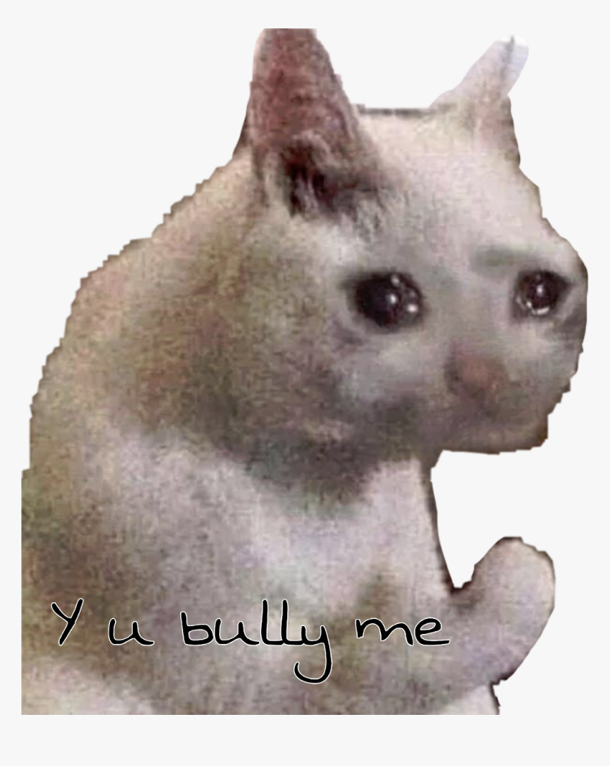 Y U Bully Me