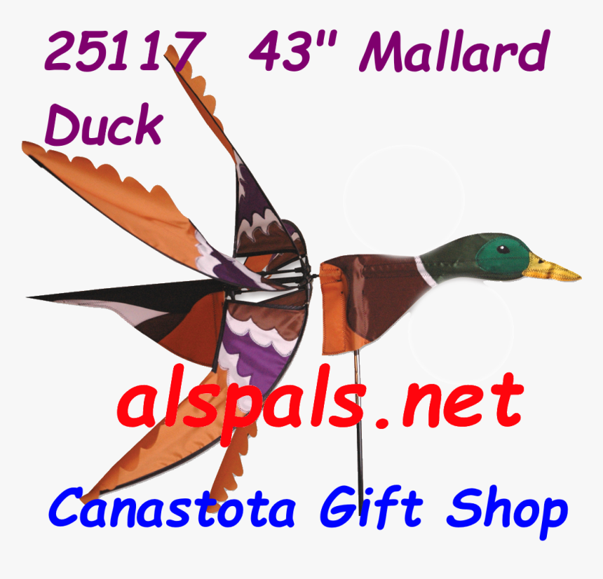 Mallard, HD Png Download , Transparent Png Image - PNGitem