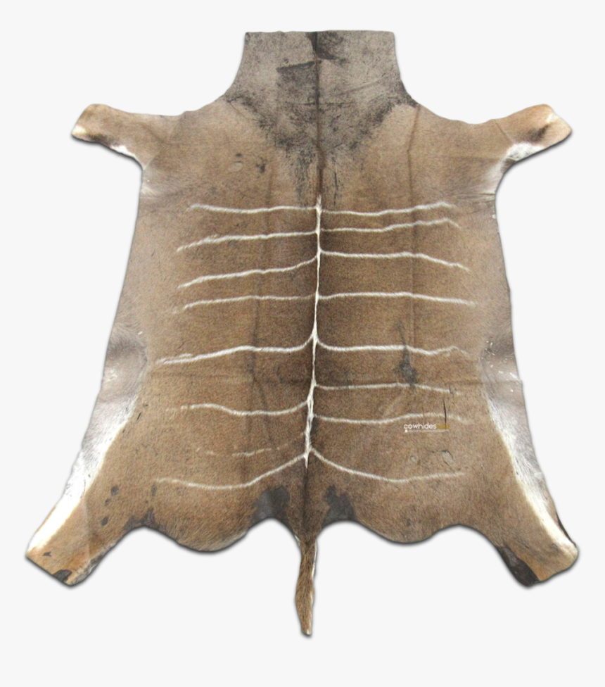 African Kudu Skin Antelope Buck Skin Similar To Cowhide - Wool, HD Png ...