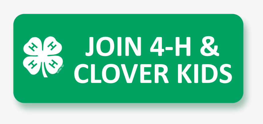 4 H Clover, HD Png Download , Transparent Png Image - PNGitem