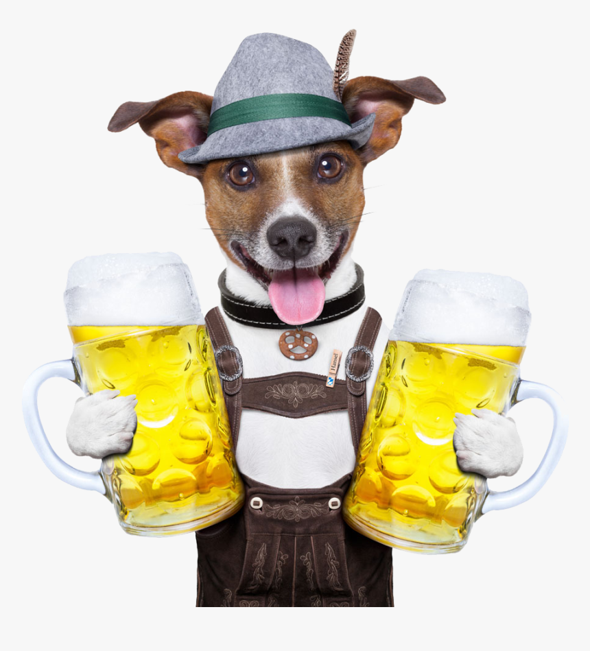 Oktoberfest Cuisine German Photography Dog Beer Holding - Happy ...