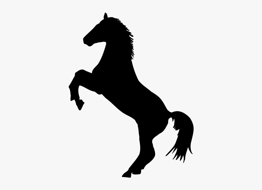 Horse Decal Sticker Rearing Stallion - Rearing Horse Horse Silhouettes ...