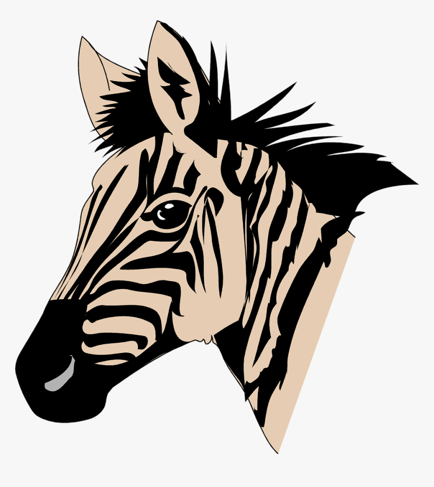 Zebra Head Png - Face Of Zebra To Color, Transparent Png , Transparent ...