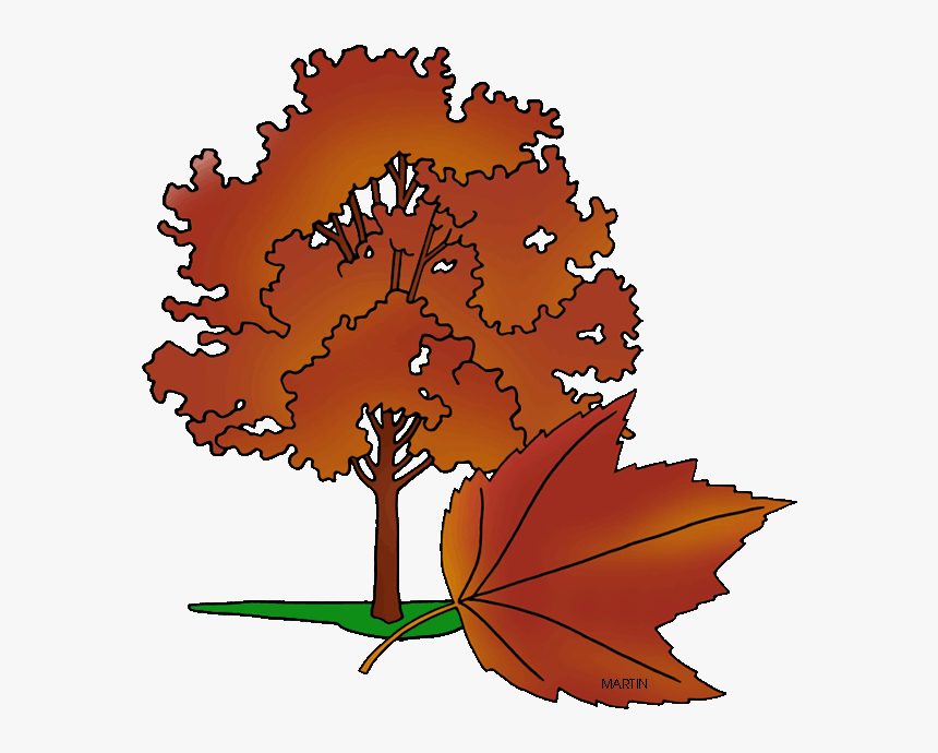 Red Maple Tree Clip Art