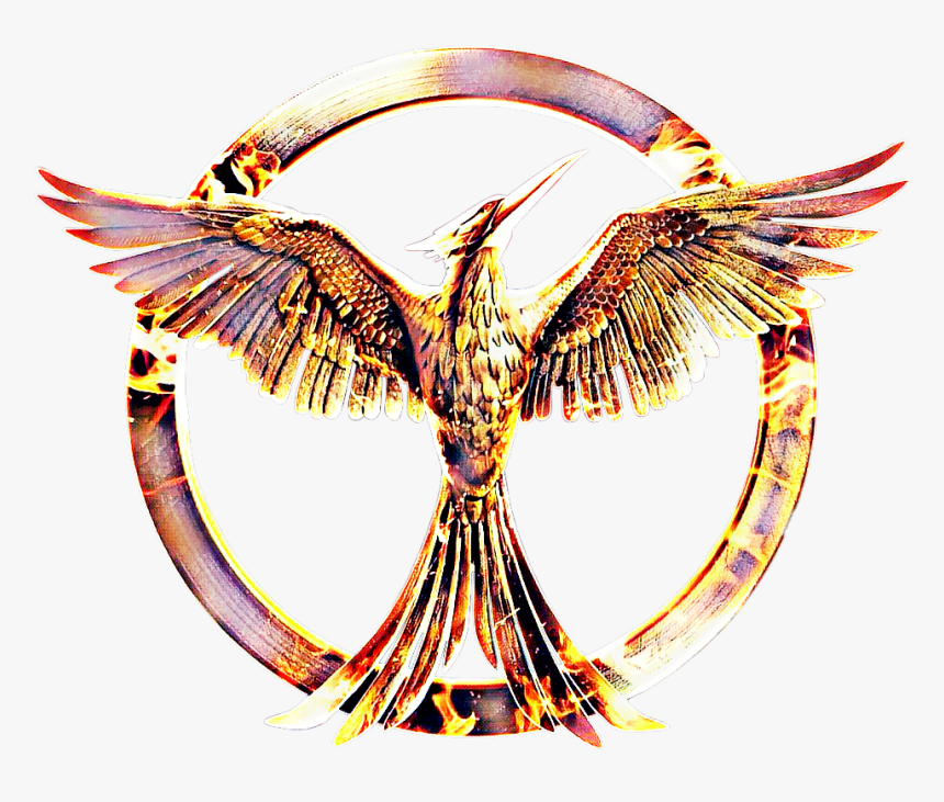 Hunger Games Mockingjay On Fire