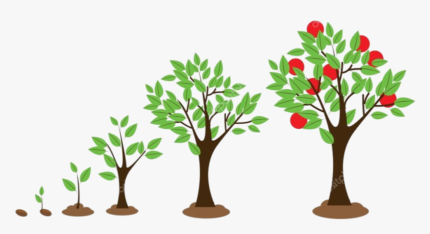 Seed Germination Clipart