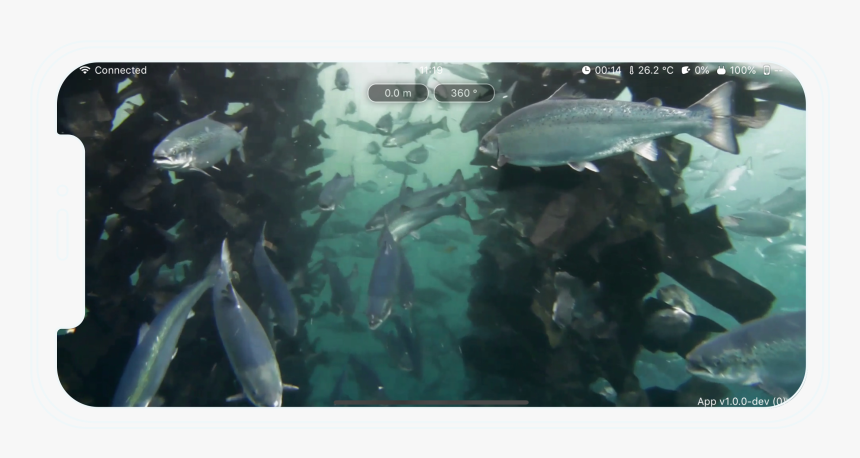 Marine Biology, HD Png Download , Transparent Png Image - PNGitem