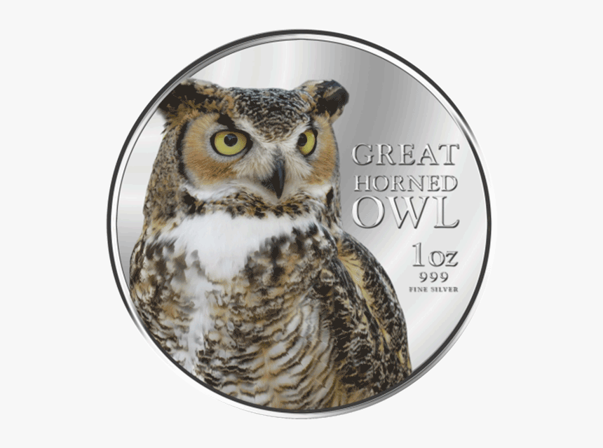 Niue 2013 2$ Great Horned Owl Birds Of Prey Proof Silver - Bird Of Prey ...