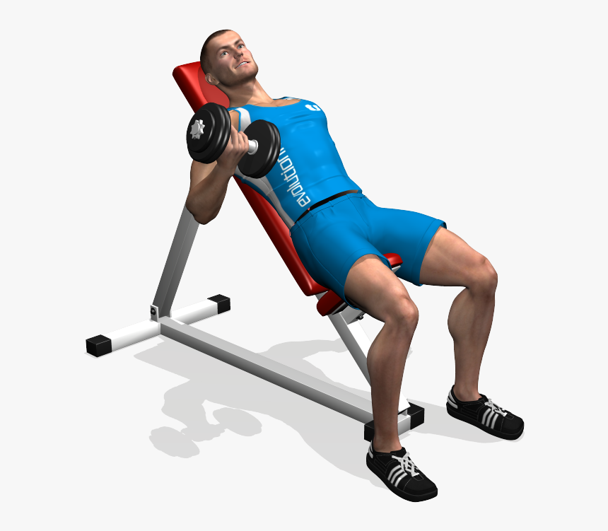 Prone Incline Dumbbell Curl