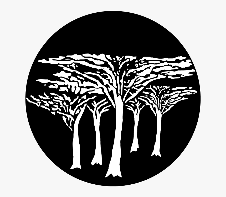 Apollo Gobo 3556, HD Png Download , Transparent Png Image - PNGitem